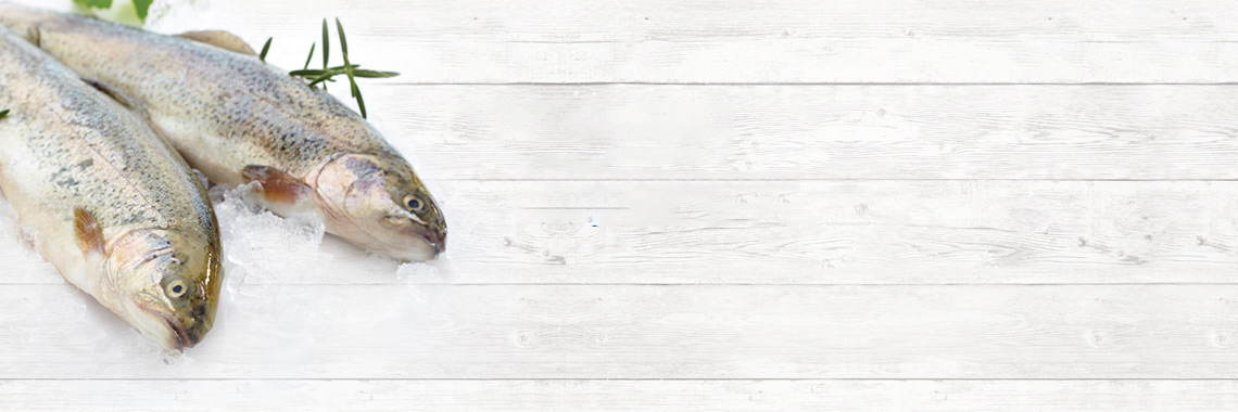 Morske ribe v prehrani » Mercator