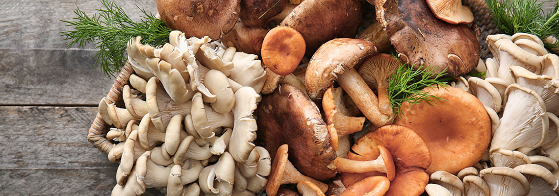 Gobe in njihov pomen v prehrani » Mercator