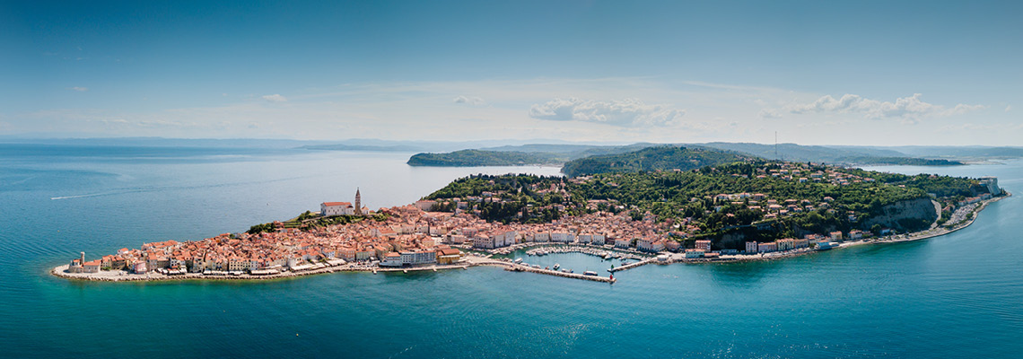 Slovenska Istra » Mercator