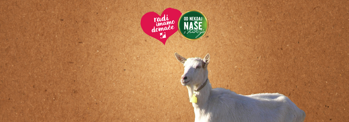 Tradicionalna sanska koza » Mercator